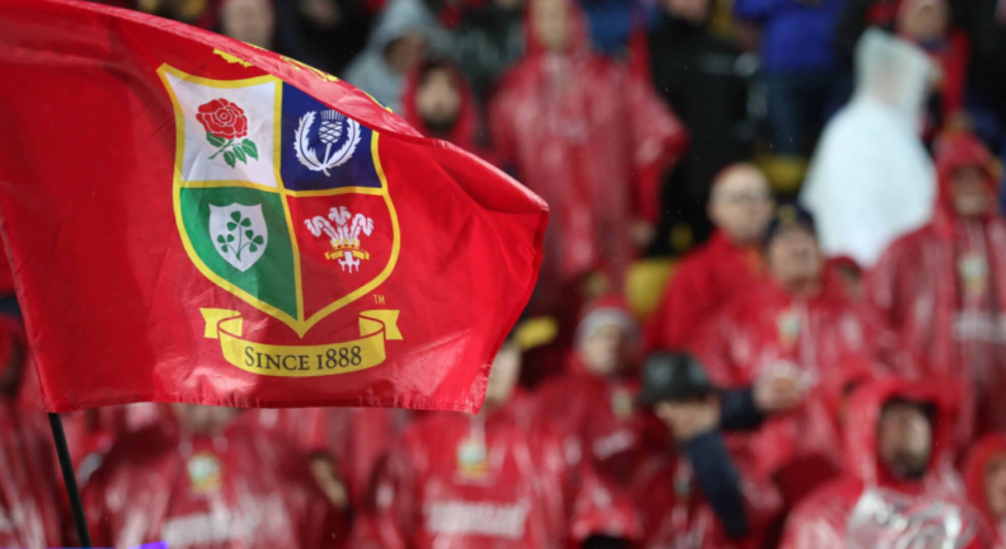 Witness the Legendary Lions in Perth - House of Karma